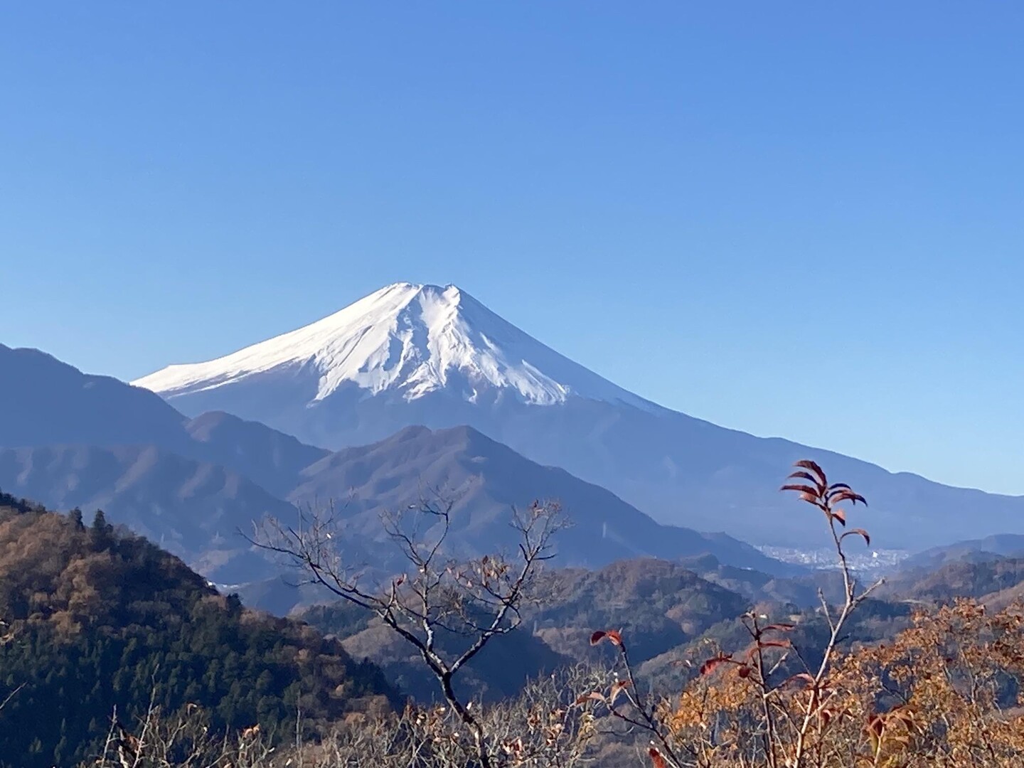2022/11/27 菊花山・御前山(山... / Mameさんのモーメント | YAMAP / ヤマップ