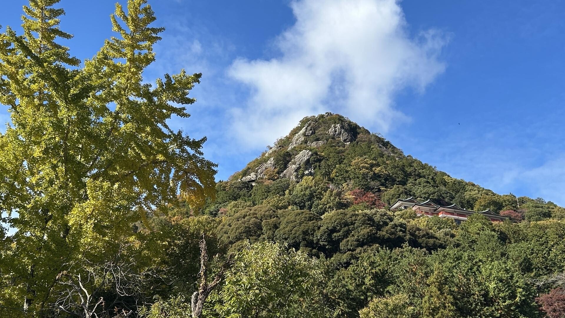 太郎坊宮 / wakki41さんの箕作山・太郎坊山の活動データ | YAMAP / ヤマップ