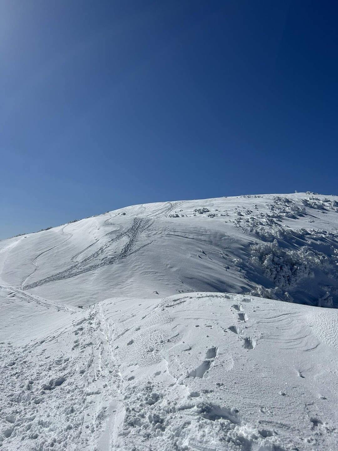 前山・銀杏峯 / akaneさんの銀杏峰・部子山の活動データ | YAMAP / ヤマップ