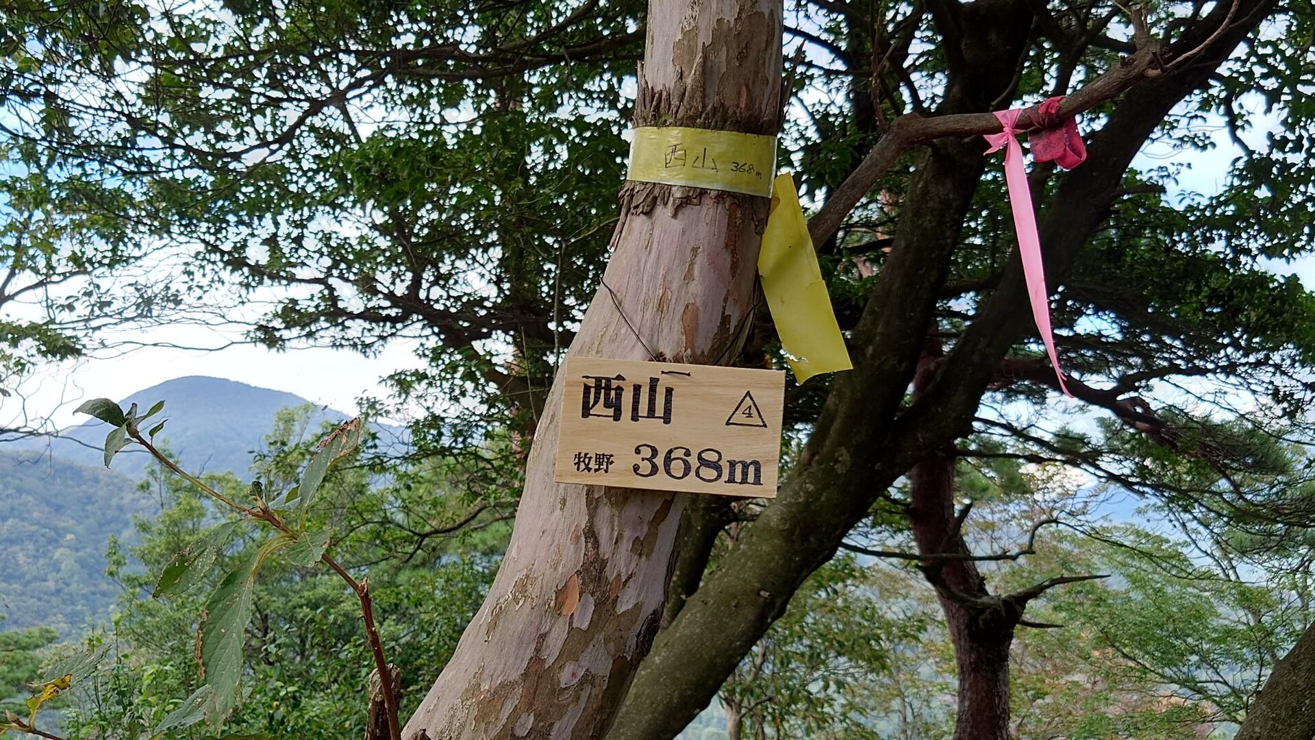 マキノ町「西山 ↑368m」 / ユートクさんの三国山・乗鞍岳・赤坂山の活動日記 | YAMAP / ヤマップ