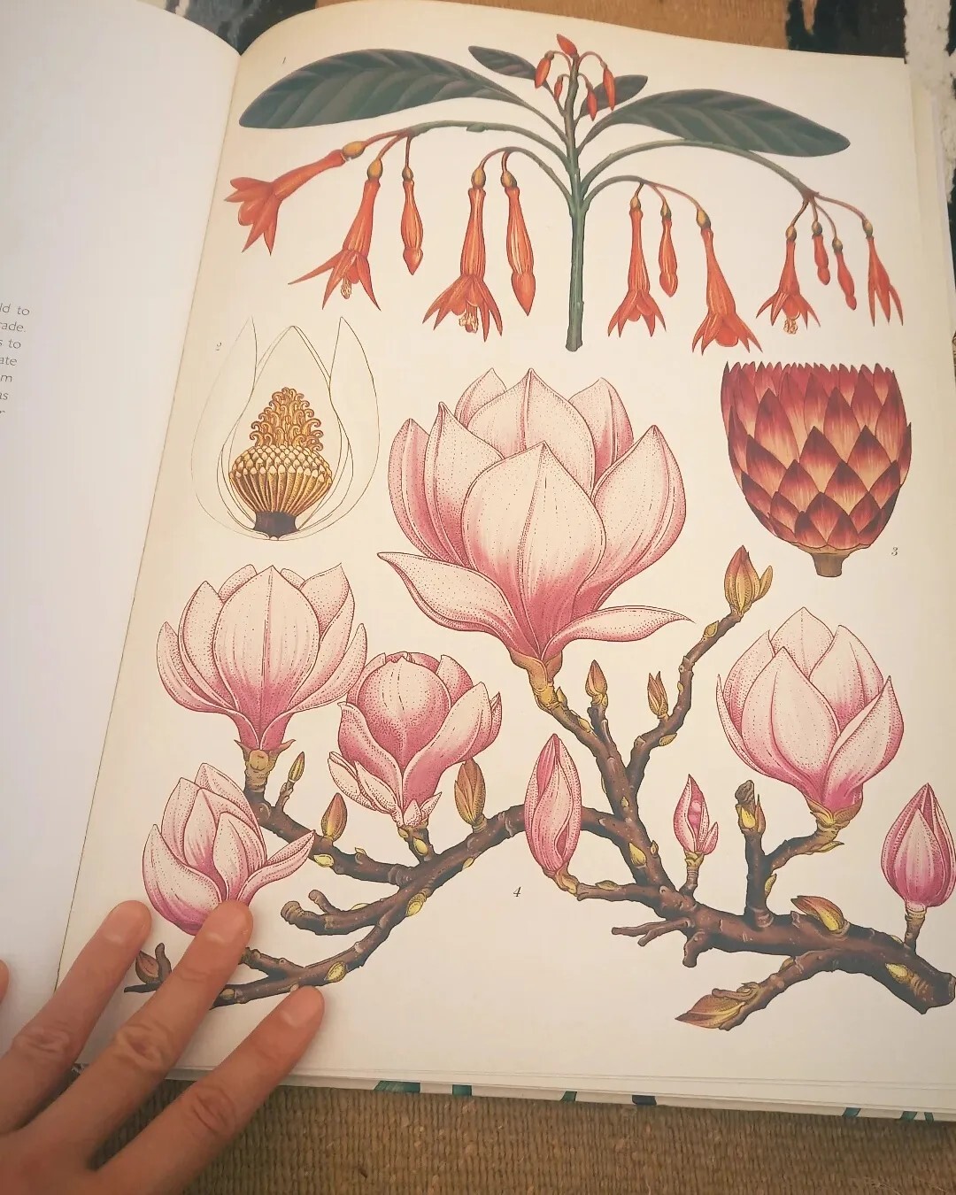 mihoのページ | YAMAP / ヤマップ