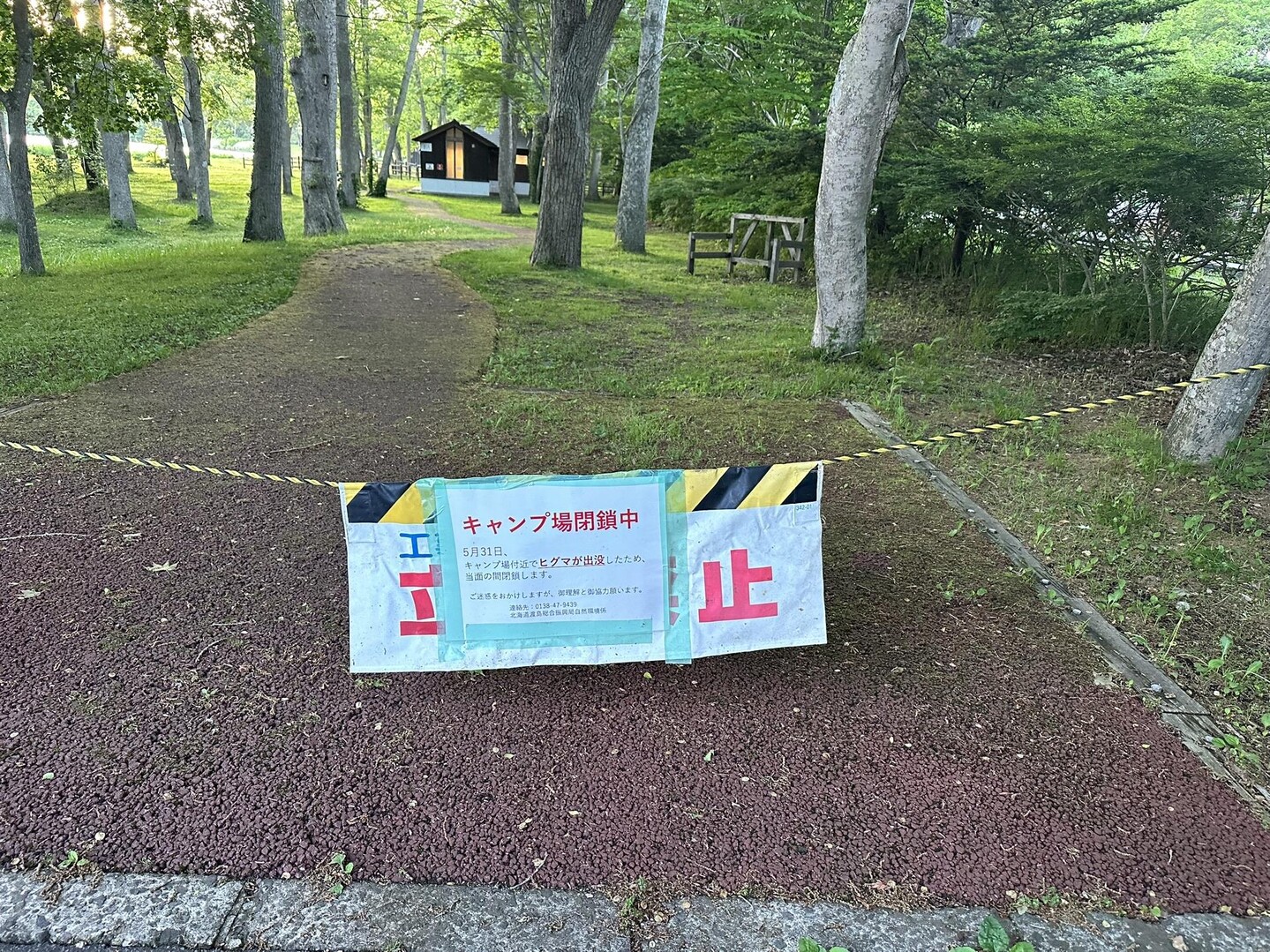 そ、そんなぁ_(:3」z)_ / egretさんの北海道駒ヶ岳（蝦夷駒ヶ岳・渡島駒ヶ岳）の活動データ | YAMAP / ヤマップ