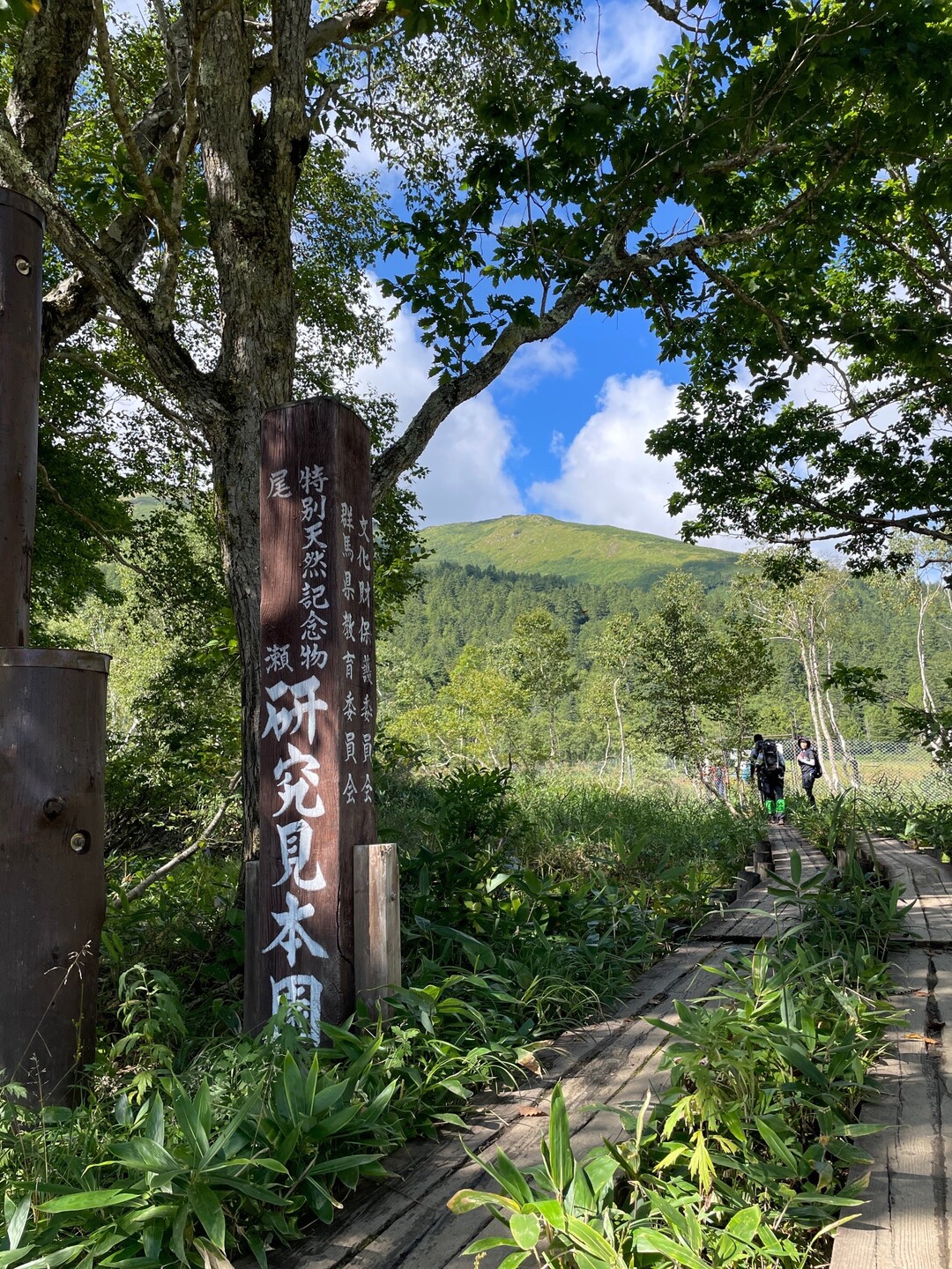 至仏山・小至仏山 / Natsuさんの尾瀬・至仏山・悪沢岳・笠ヶ岳の活動データ | YAMAP / ヤマップ