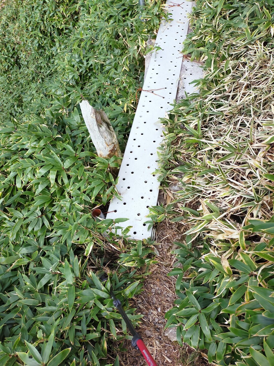 motoさんの投稿したフィールドメモ | YAMAP / ヤマップ