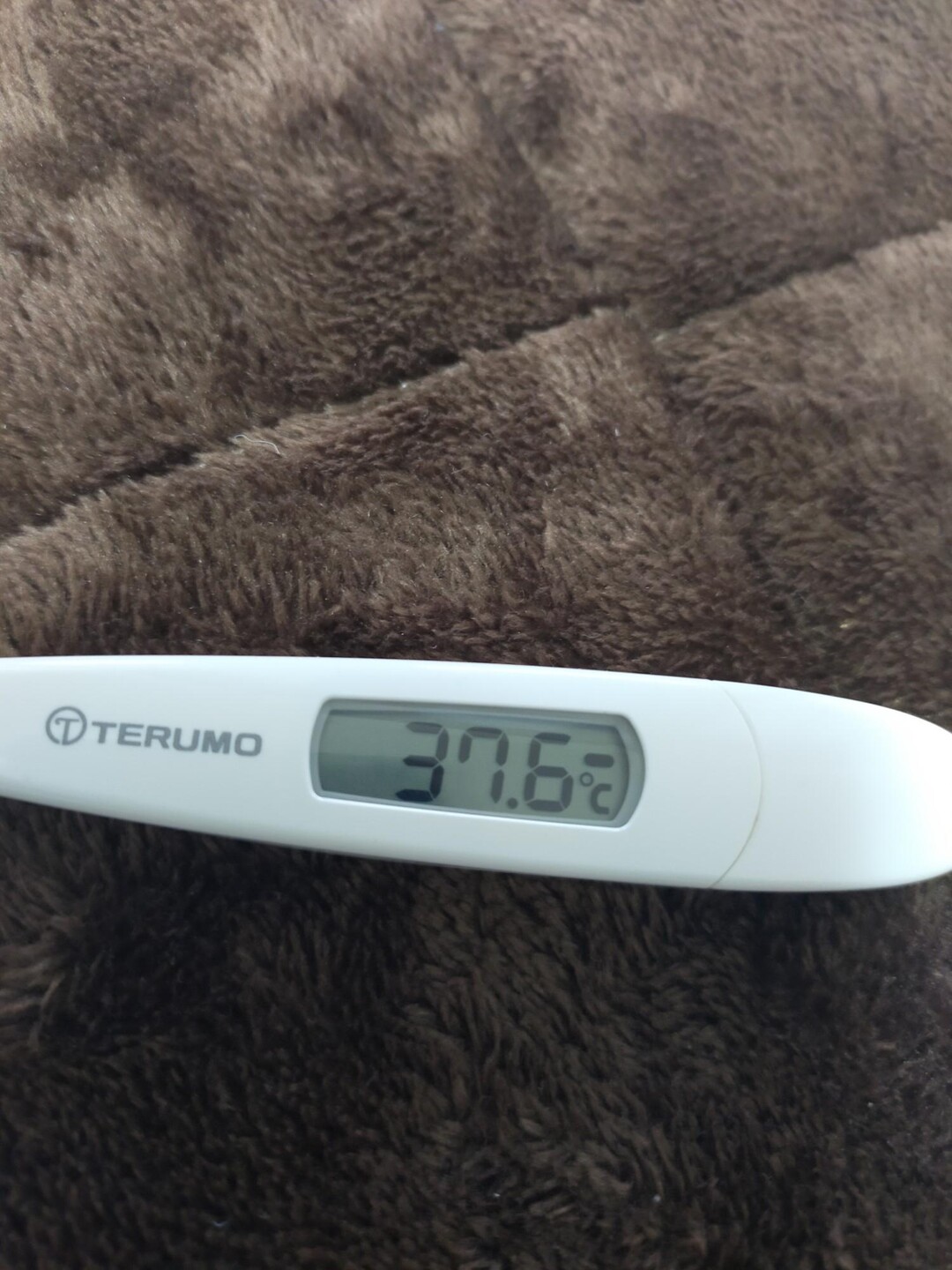 昨日熱が出て、抗原検査キットで陰性。 ... / じゅんさんのモーメント | YAMAP / ヤマップ