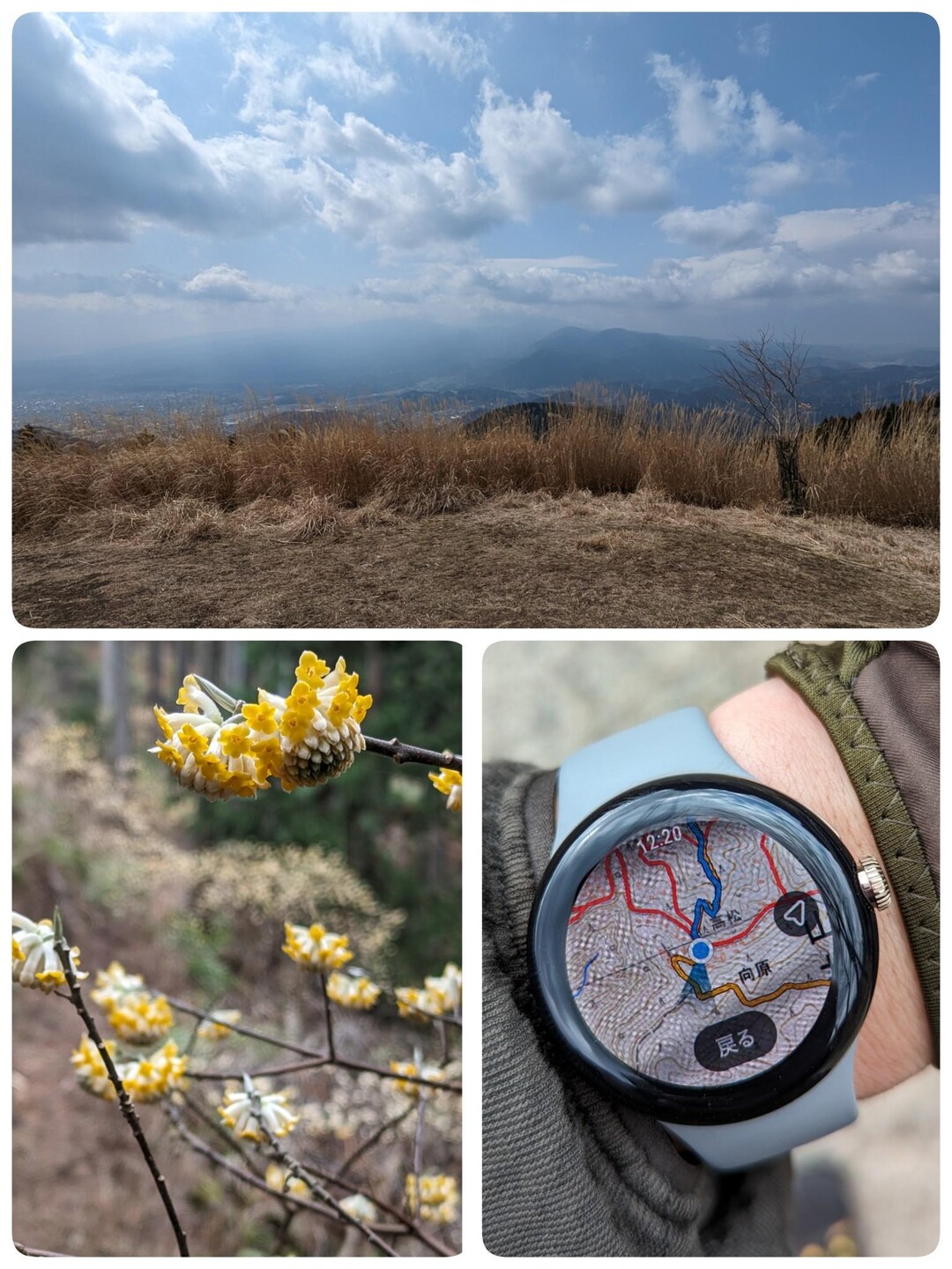 高松山・松田山 Pixel watchでYAMAP試してみた / たかちいさんの高松山・大野山の活動データ | YAMAP / ヤマップ