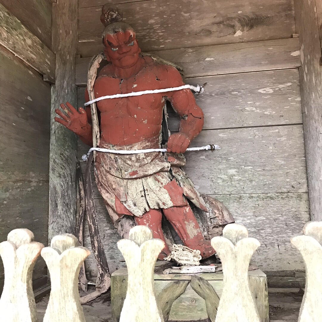 高越山・奥野々山 ピーク巡礼-2019-05-26 / Chizuさんの高越山・奥野々山の活動データ | YAMAP / ヤマップ