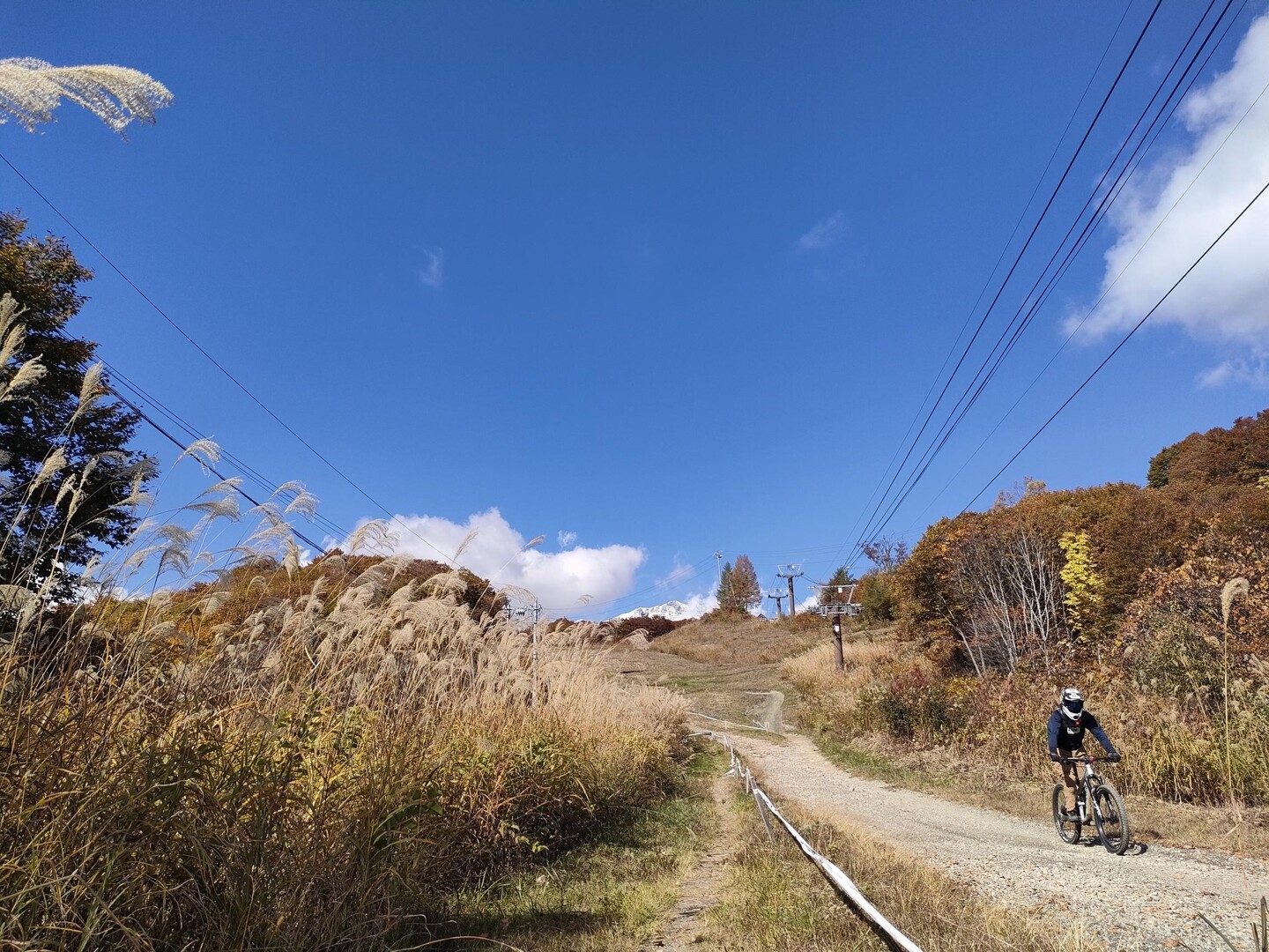 岩蕈山-白馬岩岳 / lalaさんの岩蕈山（白馬岩岳）の活動データ | YAMAP / ヤマップ