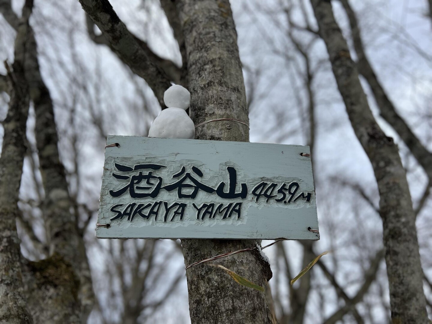 酒谷山 *° / rukiさんの砂蘭部岳・横山の活動データ | YAMAP / ヤマップ
