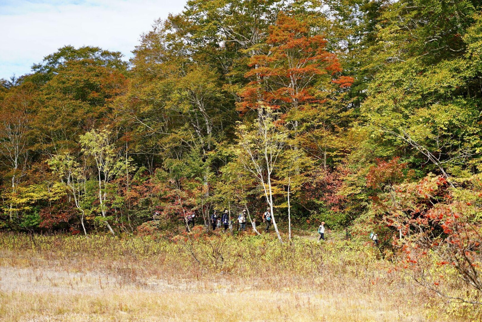 【飛騨の秋を楽しもう🍁】紅葉トレッキン... / 岐阜旅STYLEさんのモーメント | YAMAP / ヤマップ