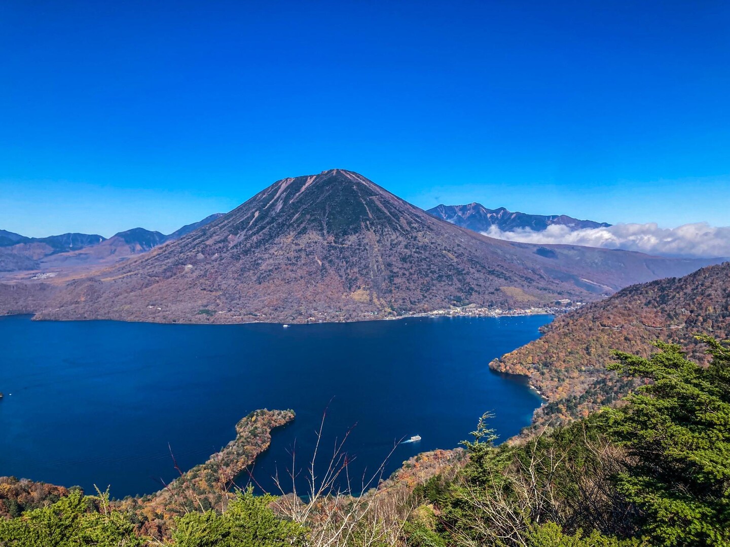 狸山・半月山 / Nさんの社山・半月山の活動データ | YAMAP / ヤマップ