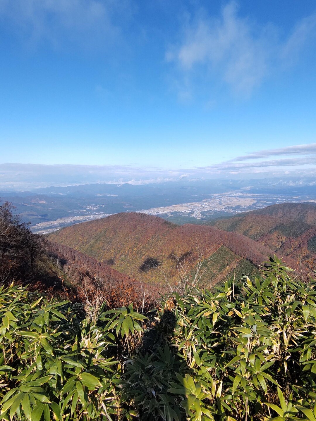 🚃電車でGO!⑨五ノ宮嶽・皮投岳 / ジャックさんの五の宮岳・皮投岳の活動データ | YAMAP / ヤマップ