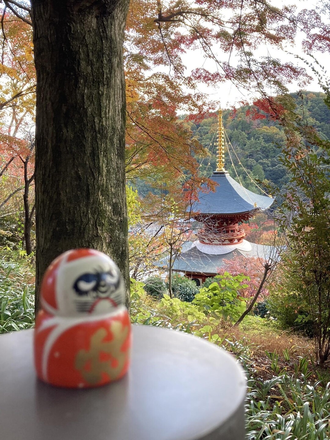 最勝ヶ峰 / M YUKIEさんの六個山・鉢伏山・明ヶ田尾山・五月山の活動日記 | YAMAP / ヤマップ