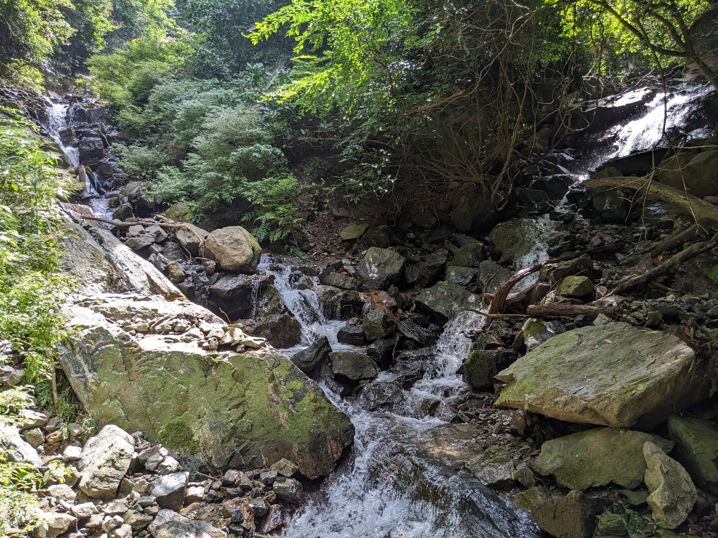 若宮八幡宮～長岩山 変則コース / mkhkさんのウォーキングの活動データ | YAMAP / ヤマップ