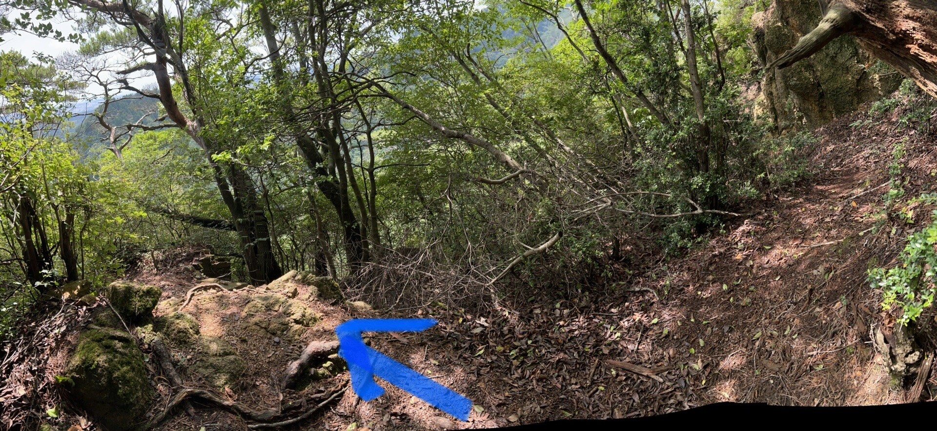 idasさんの投稿したフィールドメモ | YAMAP / ヤマップ