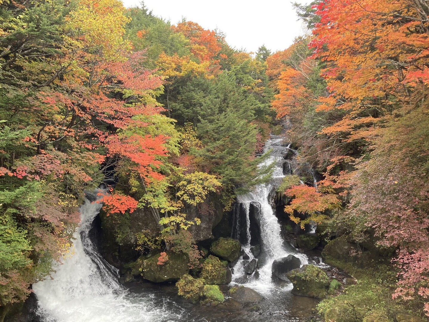 赤沼から高山、小田代ヶ原、戦場ヶ原 / SunKingさんの日光白根山・五色山・錫ヶ岳の活動データ | YAMAP / ヤマップ