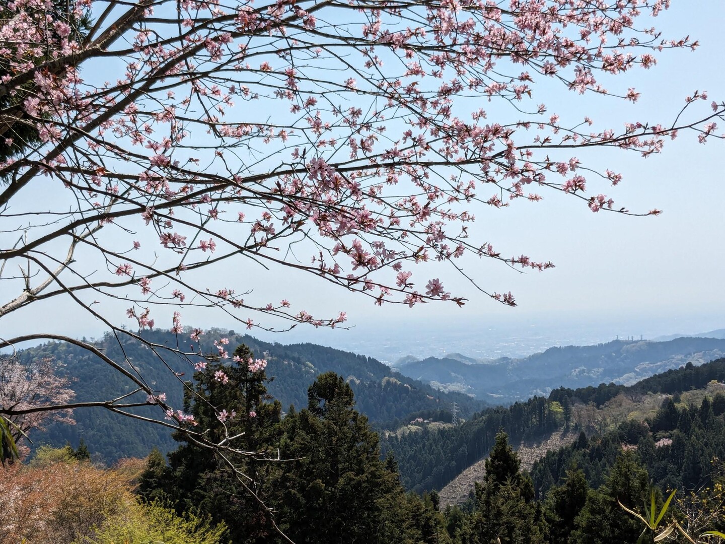 城山（小仏城山）・高尾山 / mdk.knzさんの高尾山・陣馬山・景信山の活動データ | YAMAP / ヤマップ