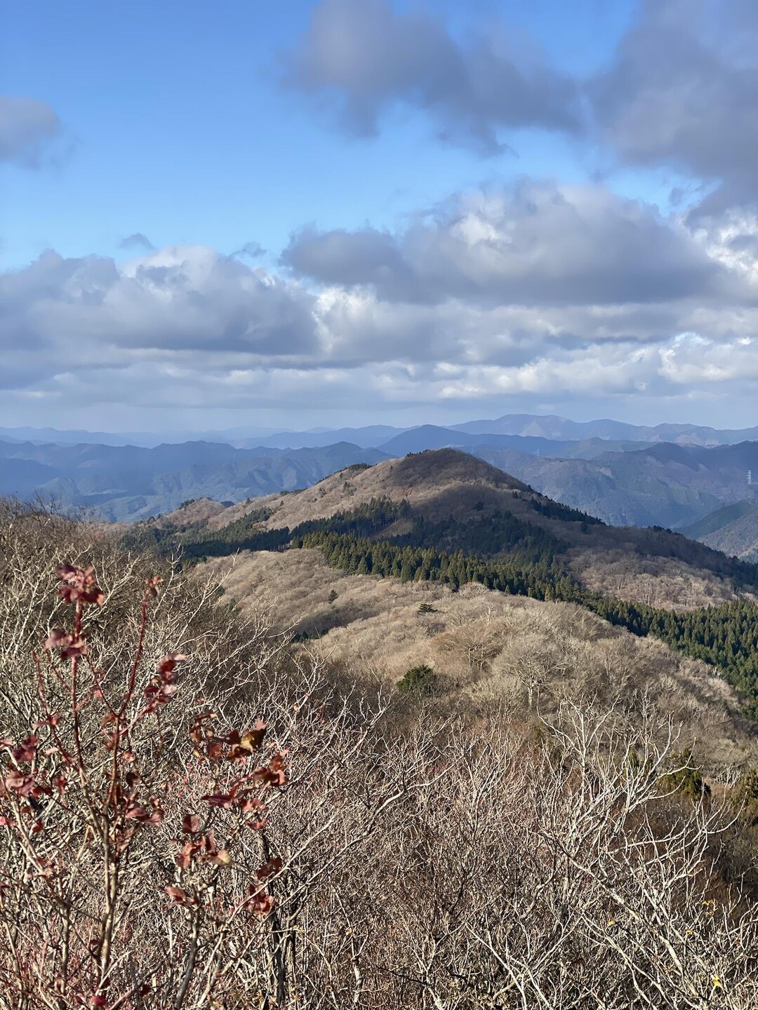 大峯山・西大峯山・オオネントウ / Rieさんの大峯山・引寄山・鷹巣山の活動データ | YAMAP / ヤマップ