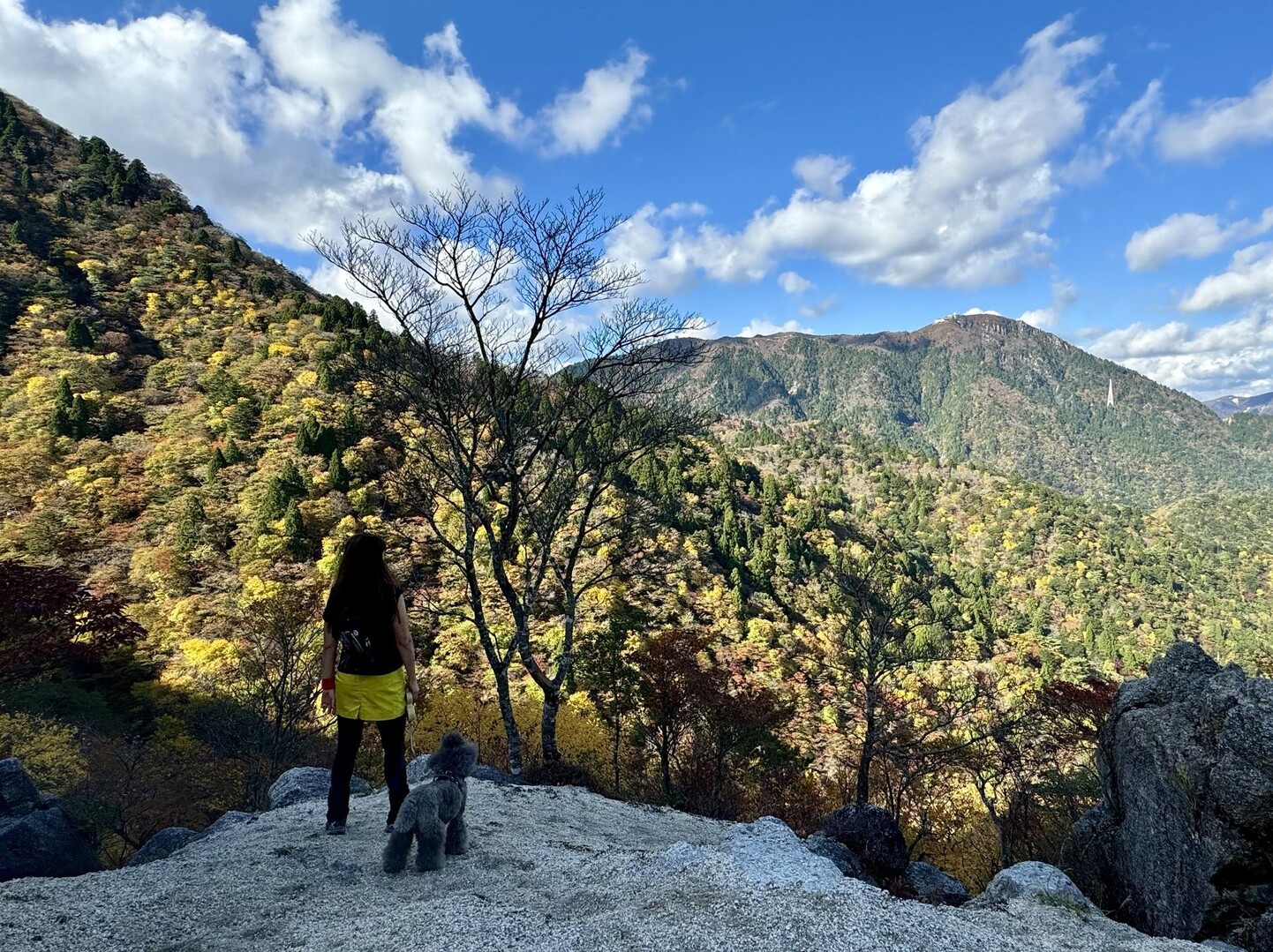 また鎌ヶ岳 されど雲母峰 / Bobさんの入道ヶ岳・鎌ヶ岳・仙ヶ岳の活動データ | YAMAP / ヤマップ