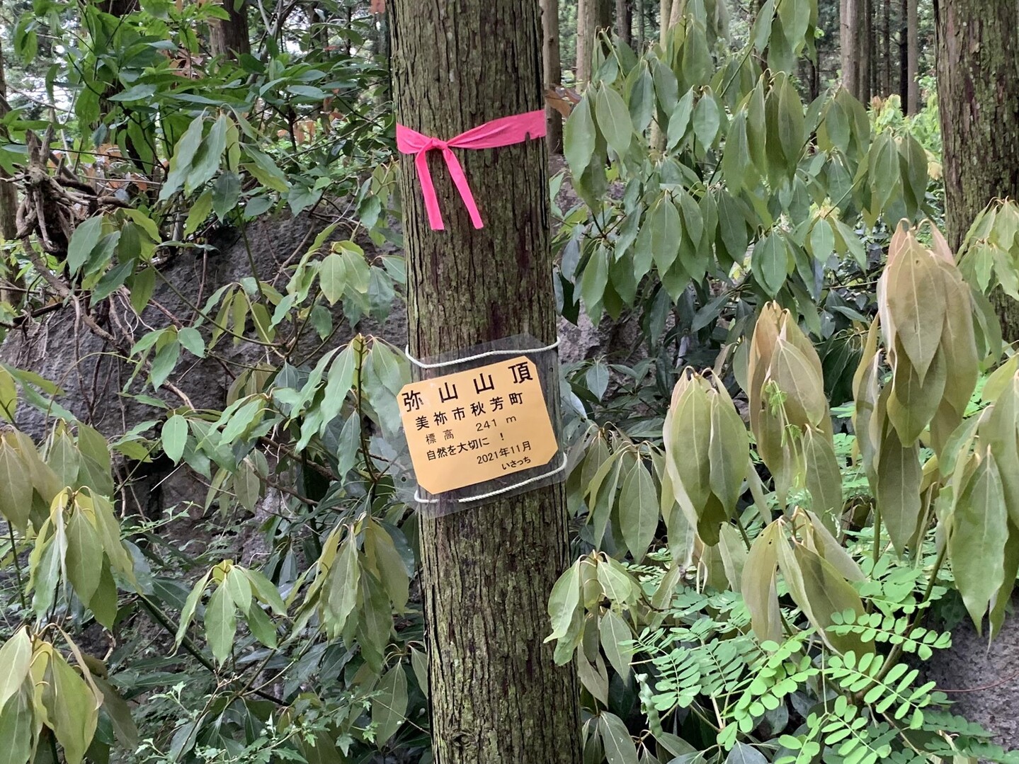 美祢③ 弥山 / koma_xさんの秋吉台の活動データ | YAMAP / ヤマップ