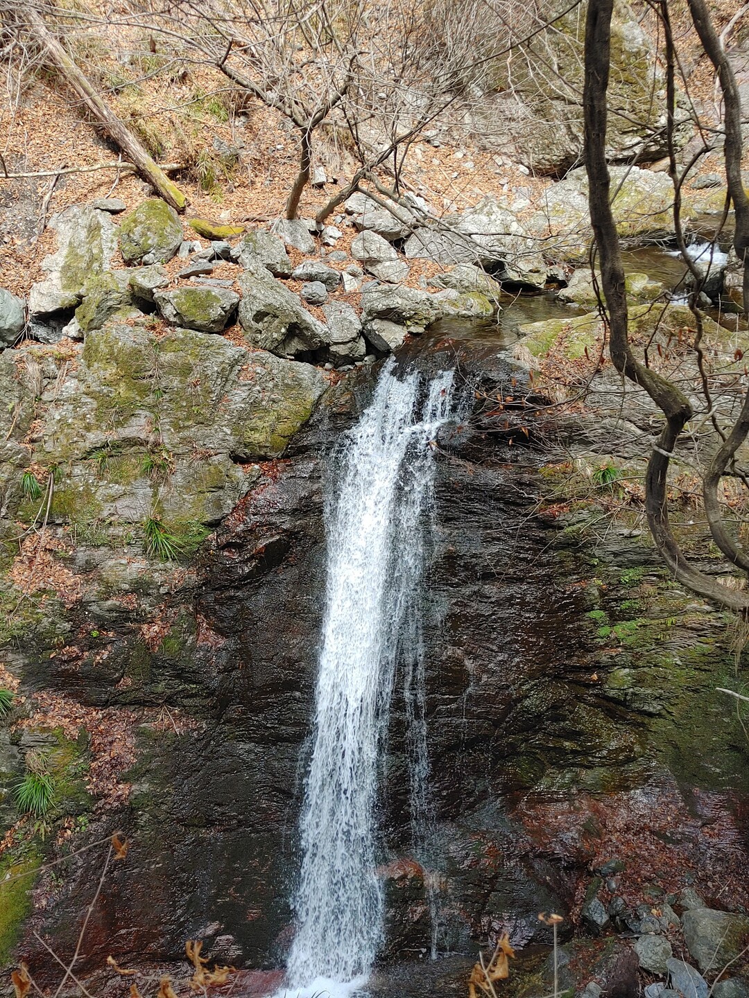 dodoさんの投稿したフィールドメモ | YAMAP / ヤマップ