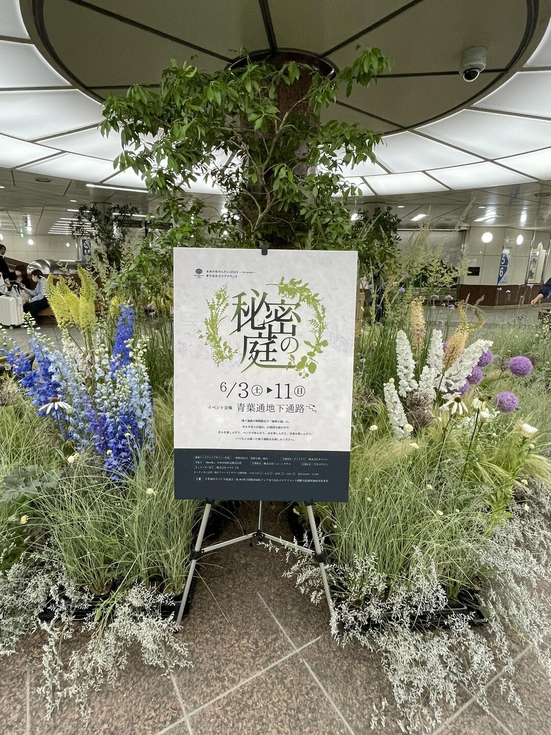 雨予報のため、山歩きは延期に‥😭 そ... / chi-zuさんのモーメント | YAMAP / ヤマップ