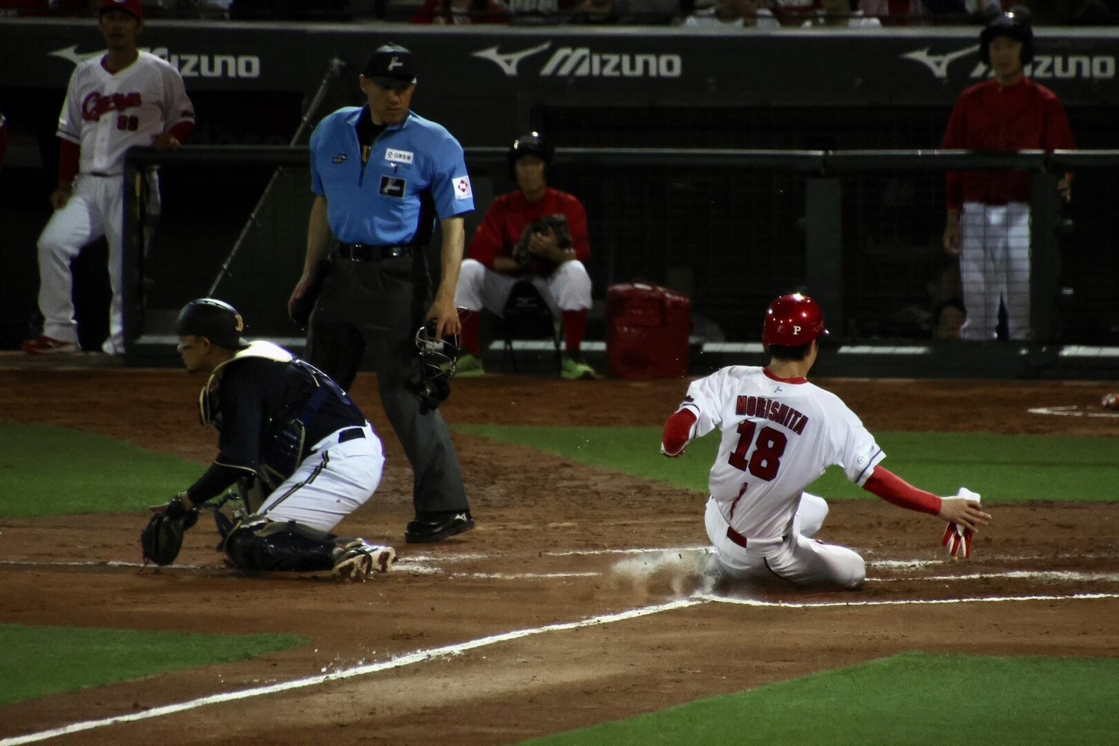 5月29日プロ野球 カープ ズムスタ 打... / GONKEさんのモーメント | YAMAP / ヤマップ