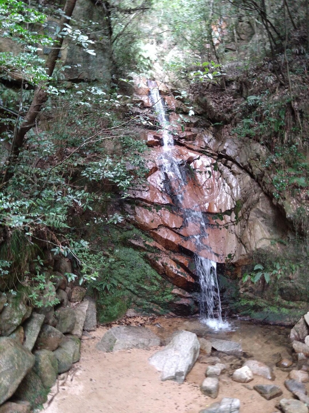 六甲山 / omifuji4さんの六甲山・長峰山・摩耶山の活動データ | YAMAP / ヤマップ
