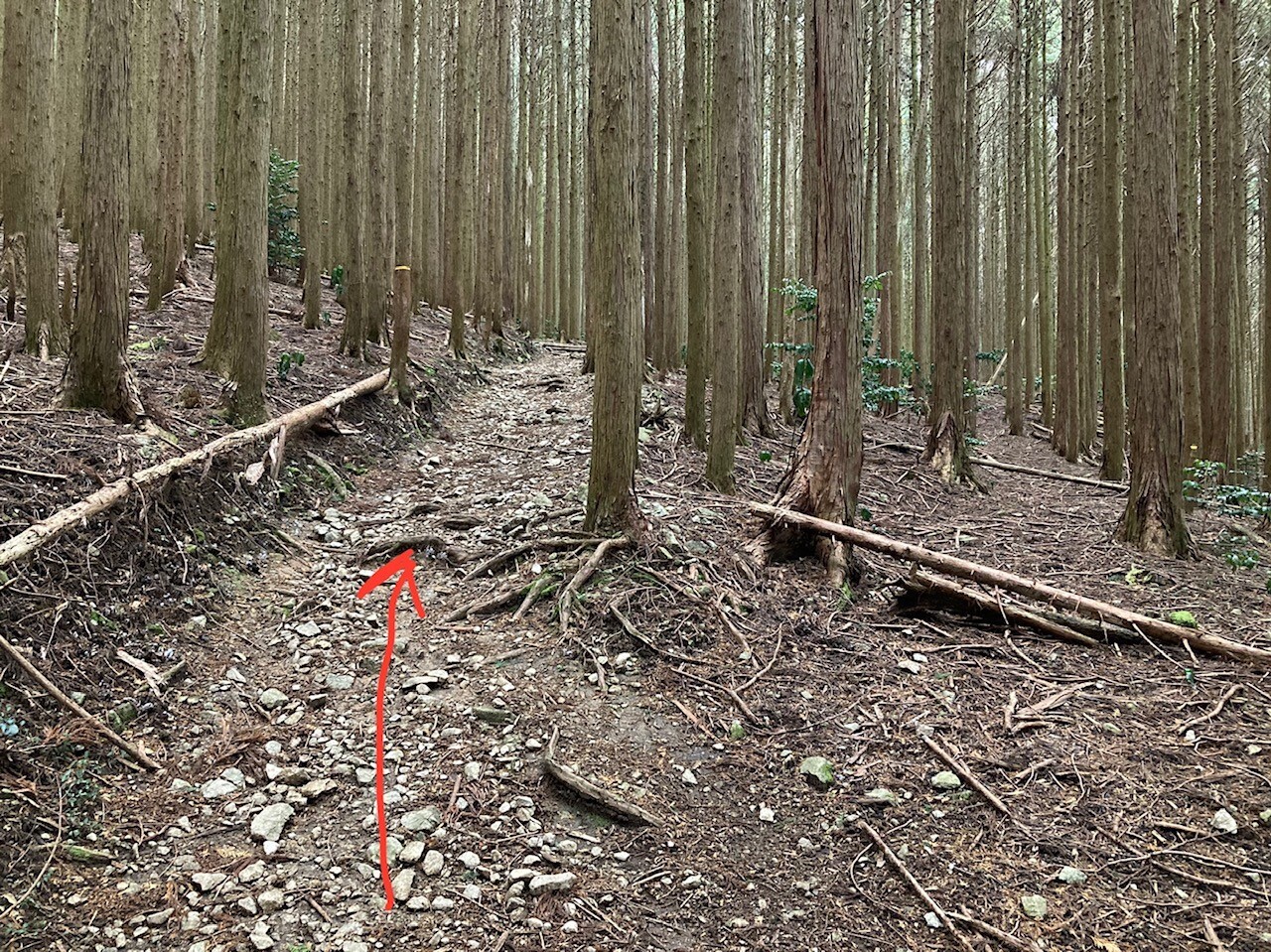 kazz309さんの投稿したフィールドメモ | YAMAP / ヤマップ