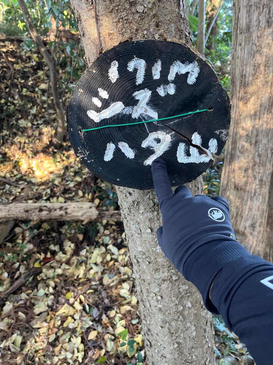 登り納めか？ 浅間山・賤機山 / ude-kingさんの賤機山の活動データ | YAMAP / ヤマップ