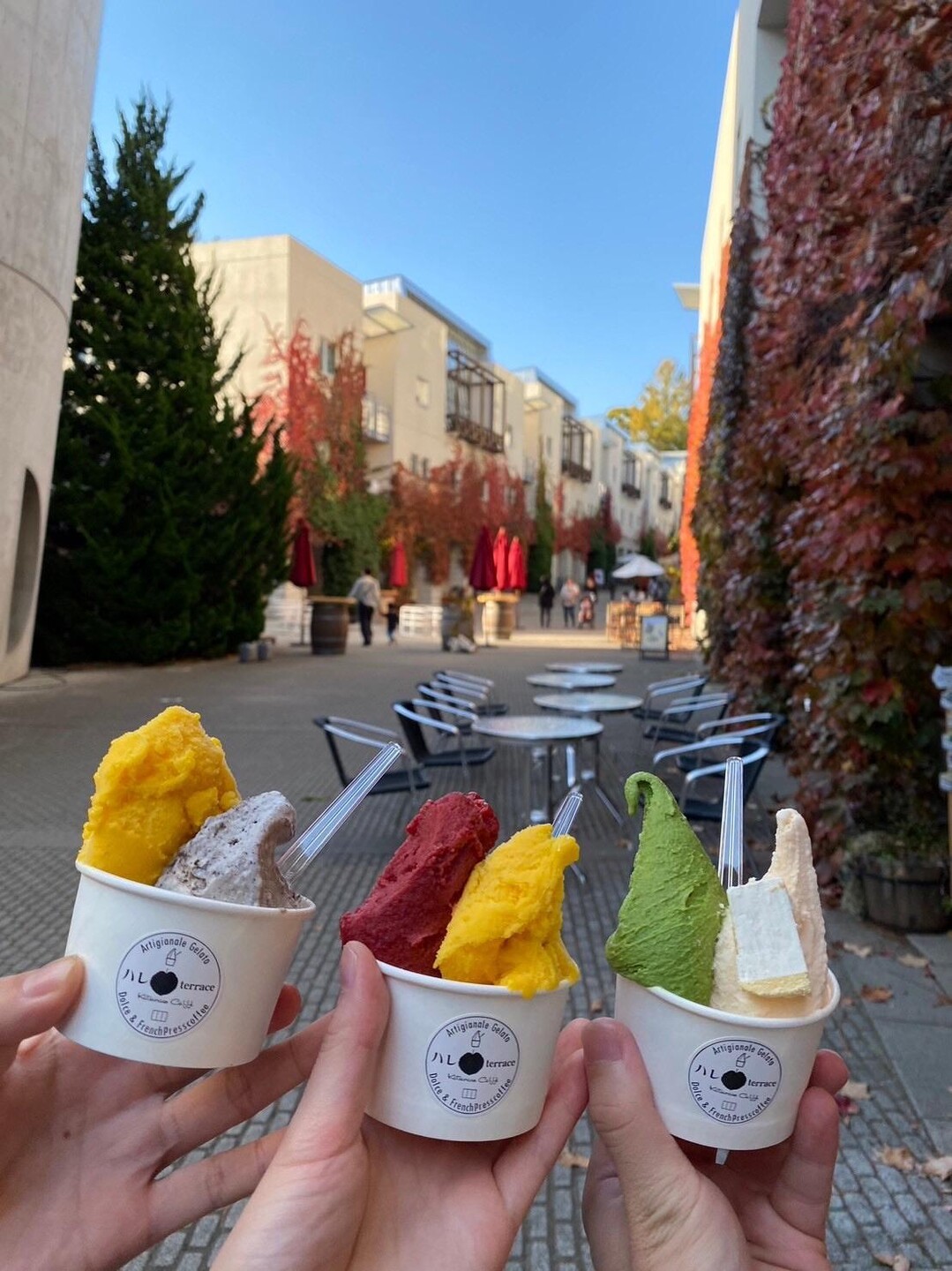 今回は紅葉を楽しむため(という口実のお酒... / ch!saさんのモーメント | YAMAP / ヤマップ