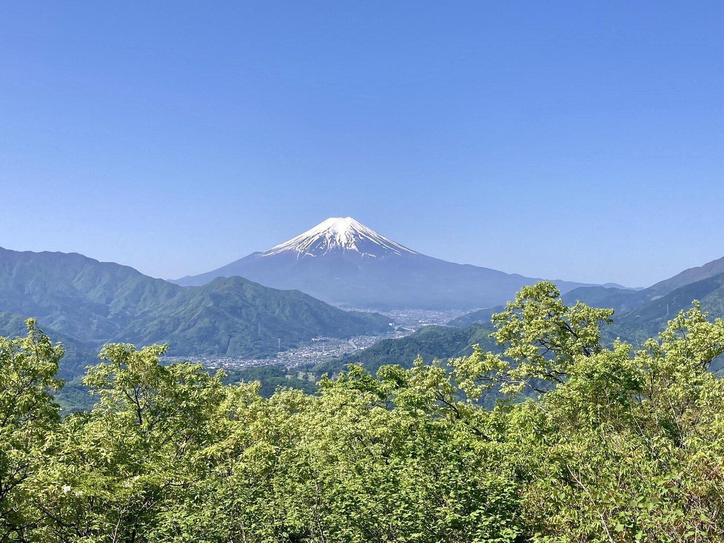 高川山 / cyさんの高川山の活動データ | YAMAP / ヤマップ