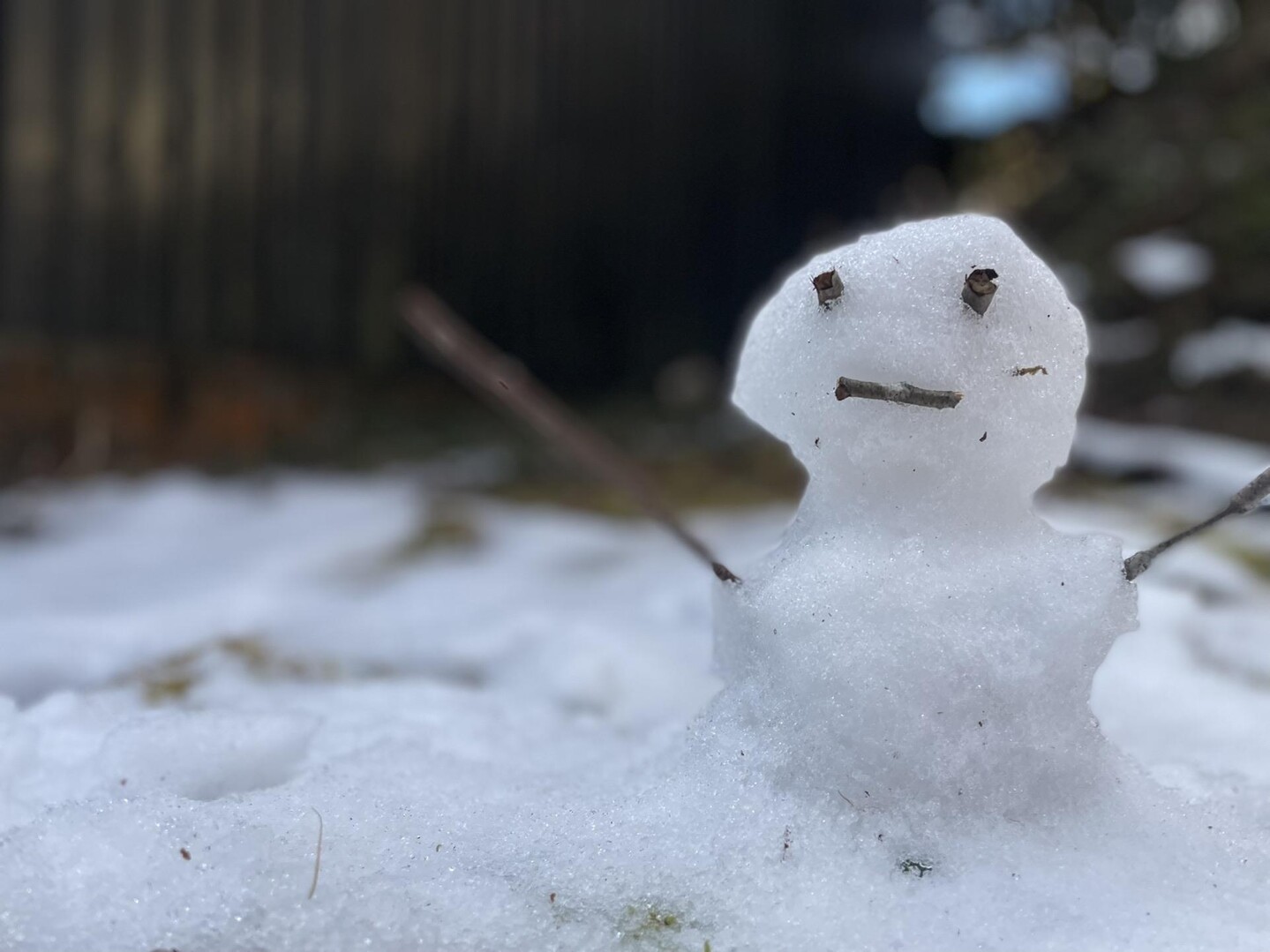 中津峰鶴林寺平石山 / Eriさんの中津峰山・平石山・古田山の活動データ | YAMAP / ヤマップ