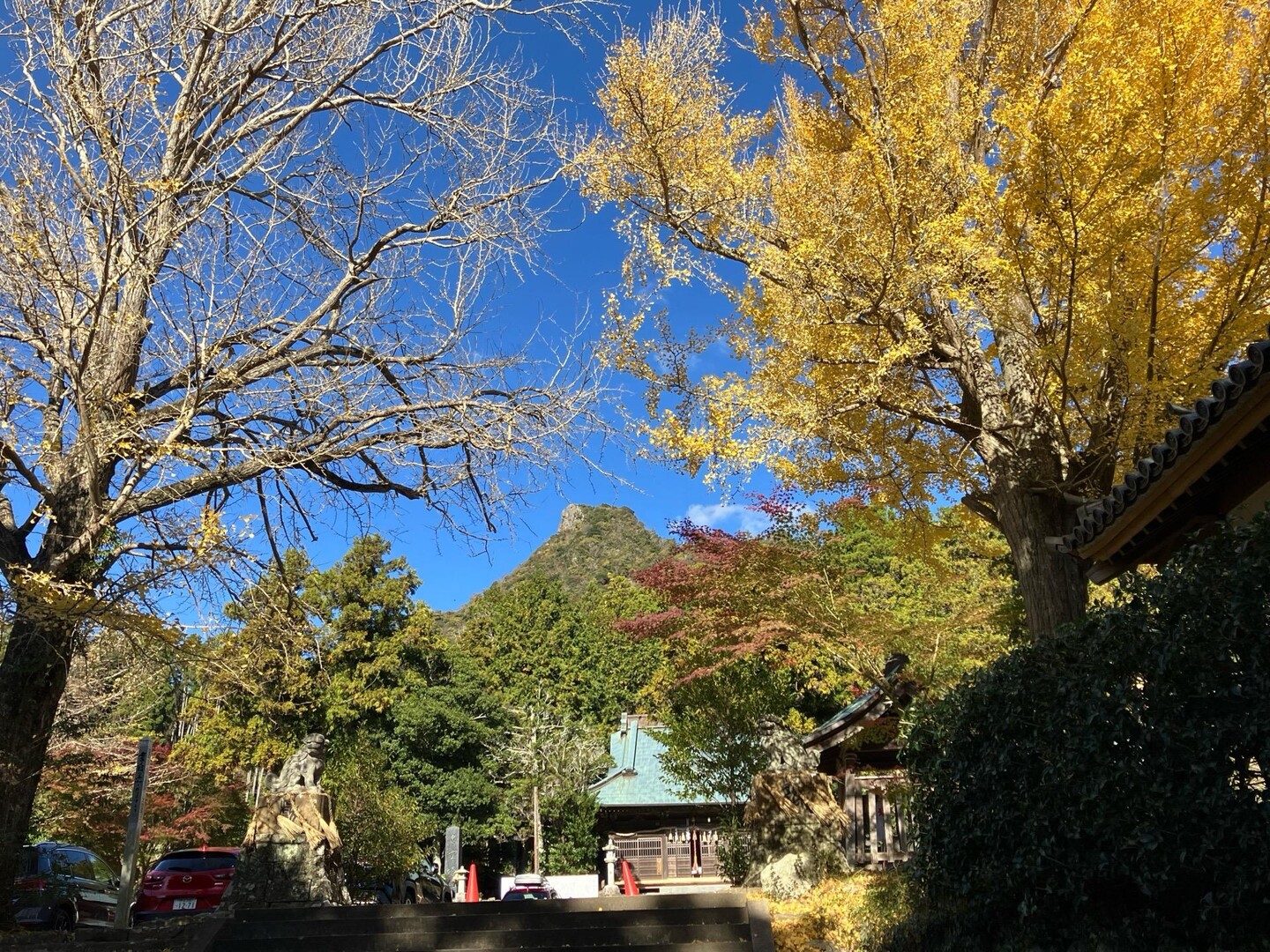 南房総 伊予ヶ岳 / tac_aさんの伊予ヶ岳・人骨山・津森山の活動データ | YAMAP / ヤマップ