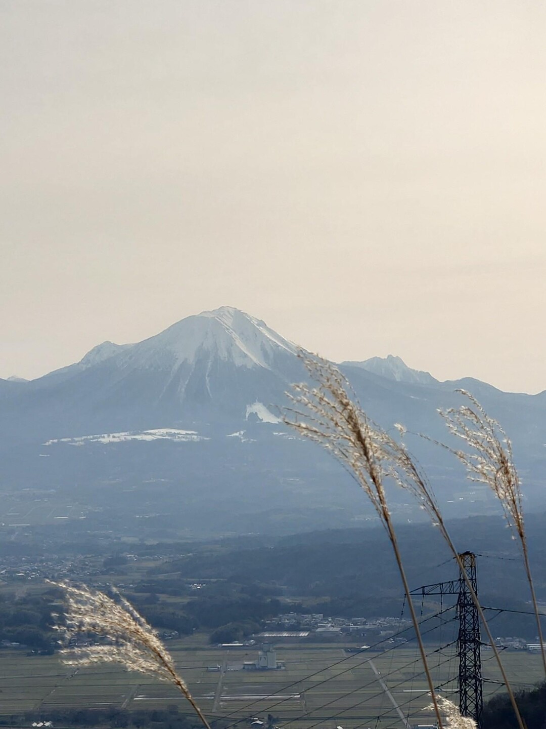 朝活〜要害山(安田） / Sarahさんの要害山・母塚山の活動データ | YAMAP / ヤマップ
