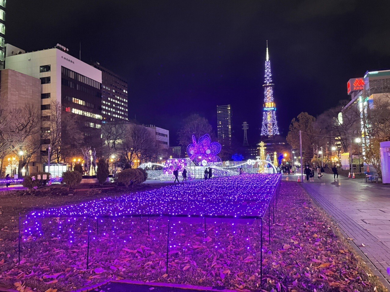 札幌大通り公園は、今日からイルミネーショ... / 鹿児島のTS4さんのモーメント | YAMAP / ヤマップ
