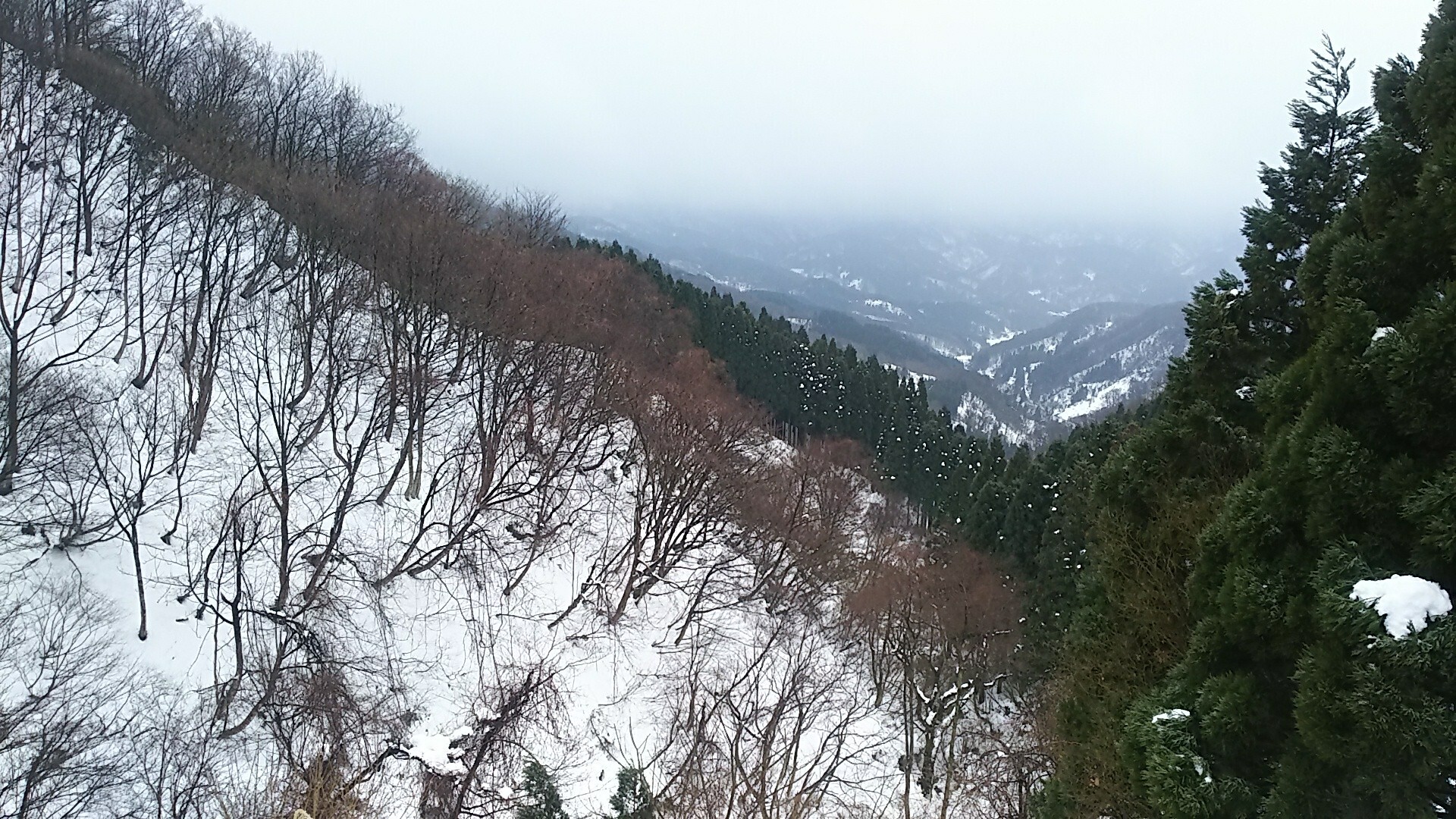 医王山・白兀山・箱屋谷山-2022-01-03 / APYキューイさんの医王山・白兀山・箱屋谷山の活動日記 | YAMAP / ヤマップ