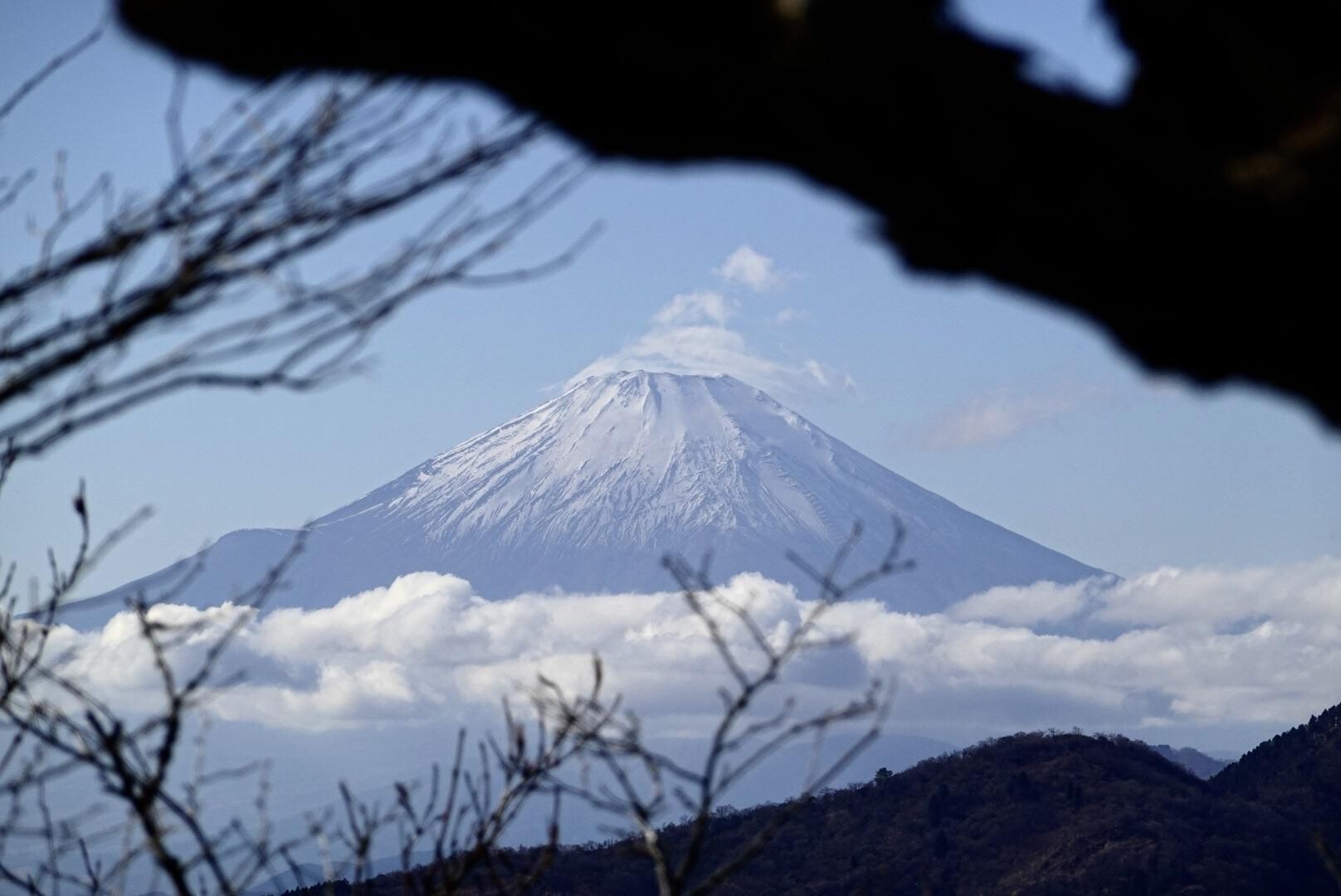 大山 2023登り納め / koyunisoさんの大山の活動データ | YAMAP / ヤマップ