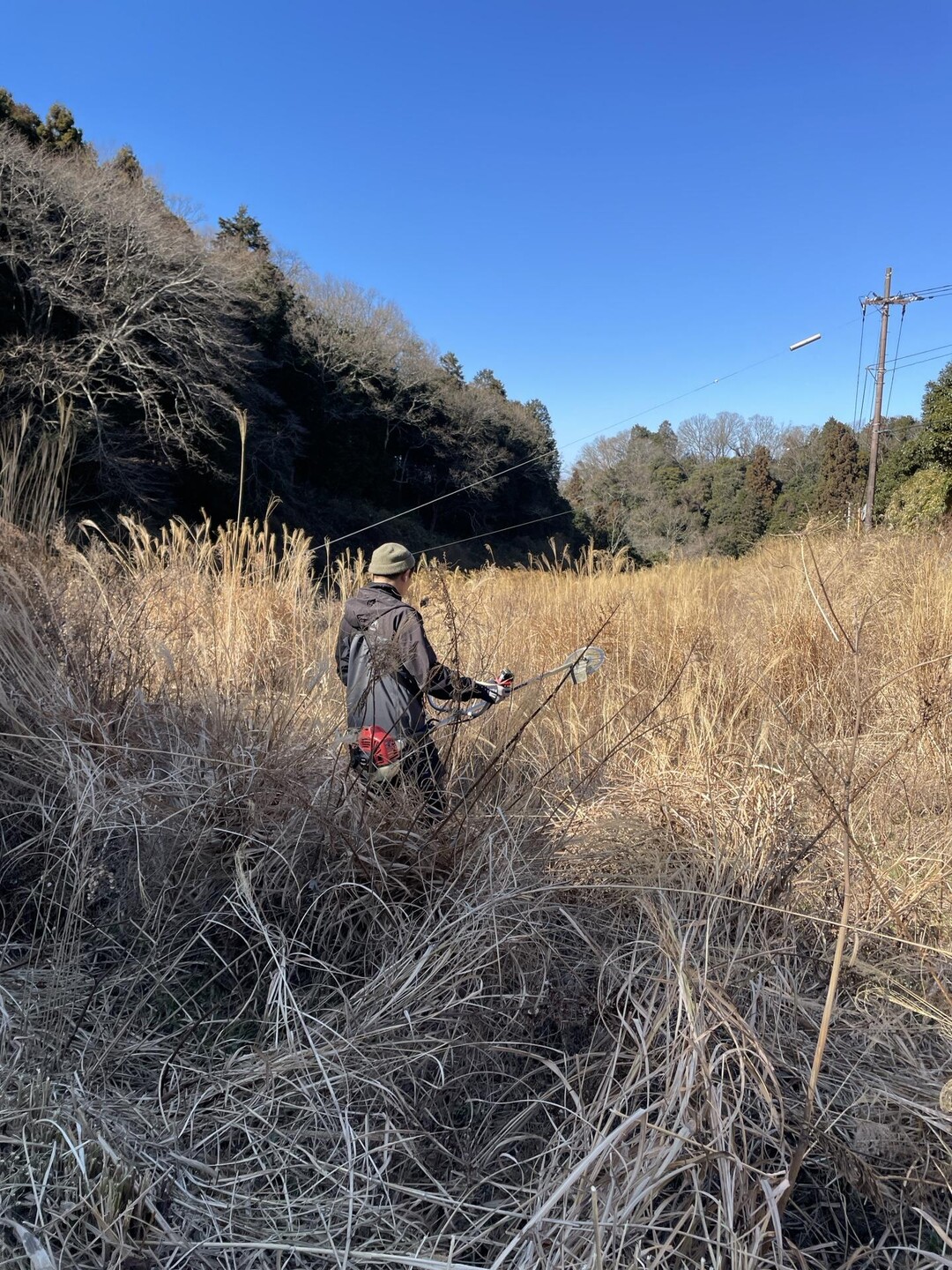ひたすらススキ刈り / love_east_osakaさんの生駒山・神津嶽・大原山の活動データ | YAMAP / ヤマップ