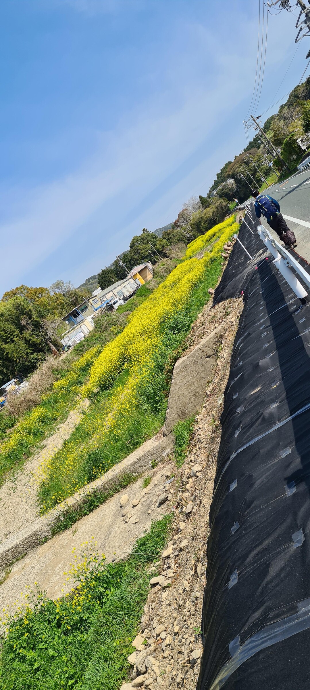 掛川まで足をのばし 千手峰という182... / konkyunさんのモーメント | YAMAP / ヤマップ