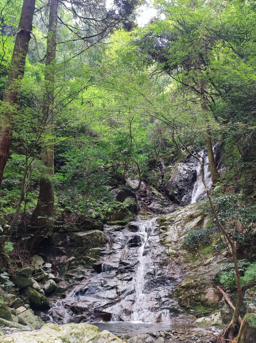 雷山 / minさんの登山の活動データ | YAMAP / ヤマップ