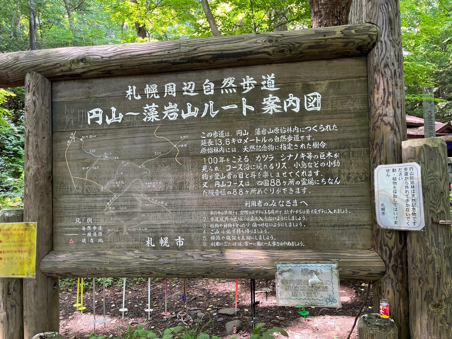 円山 2023/07/02 今年2回目の登山 / Mas. Tさんの三角山・大倉山・円山の活動データ | YAMAP / ヤマップ