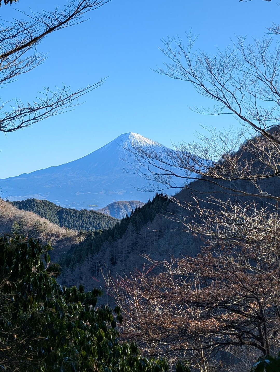 富士山を眺めに真富士山へ / えんしゅうmmさんの青笹山の活動データ | YAMAP / ヤマップ