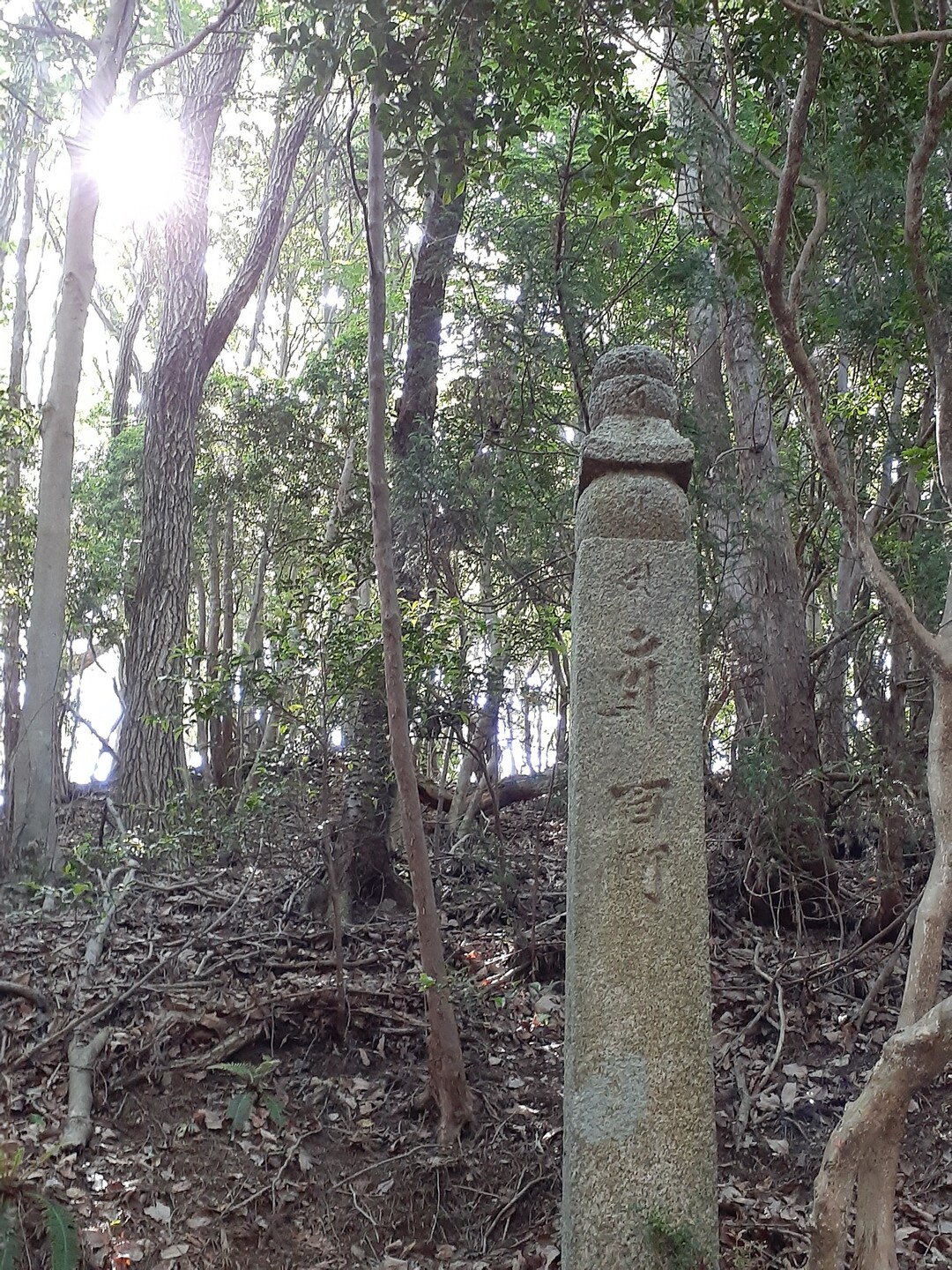 Noriさんの投稿したフィールドメモ | YAMAP / ヤマップ