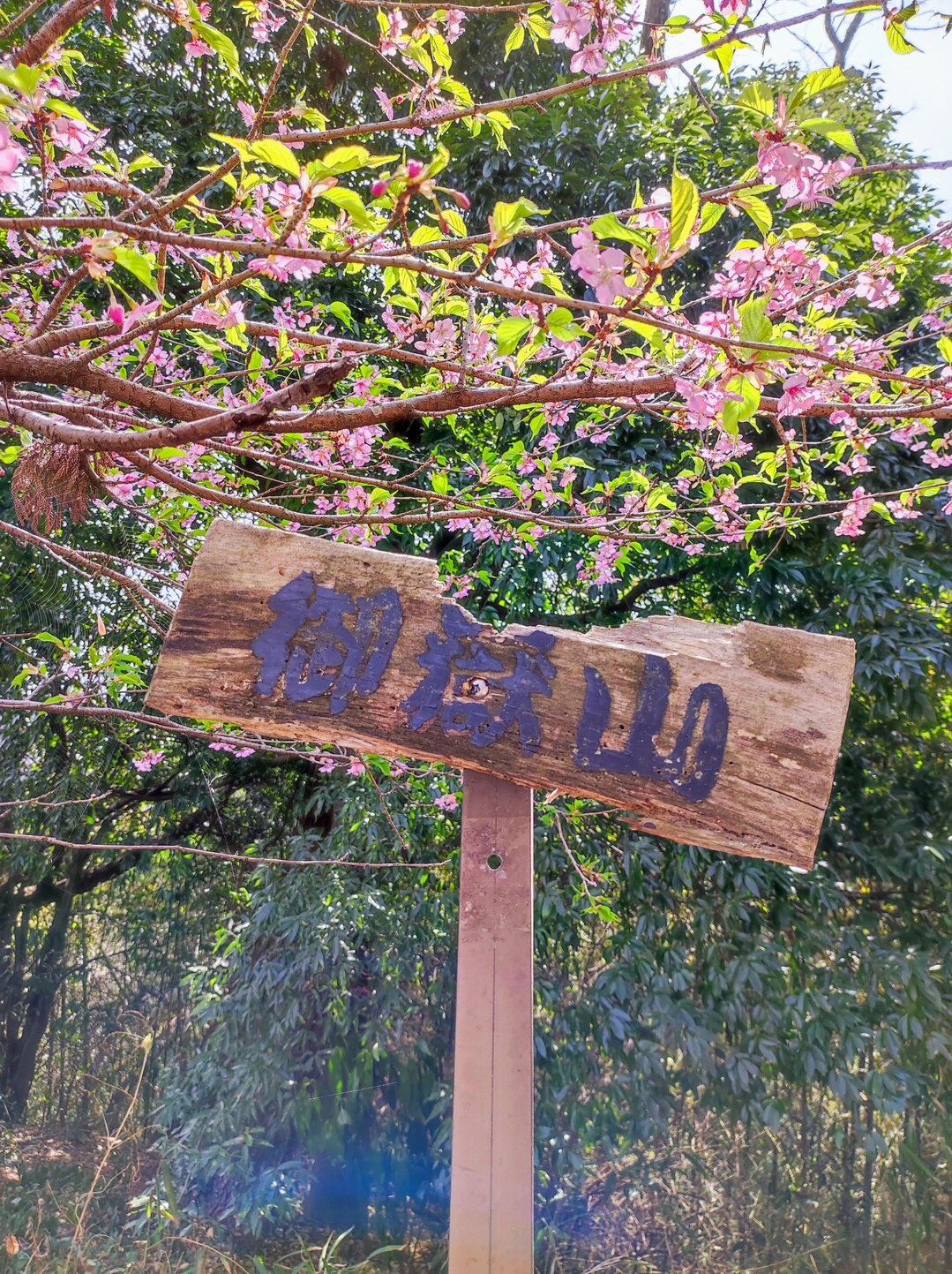 金鑚御嶽山 / mappyさんの金鑚御嶽山の活動日記 | YAMAP / ヤマップ