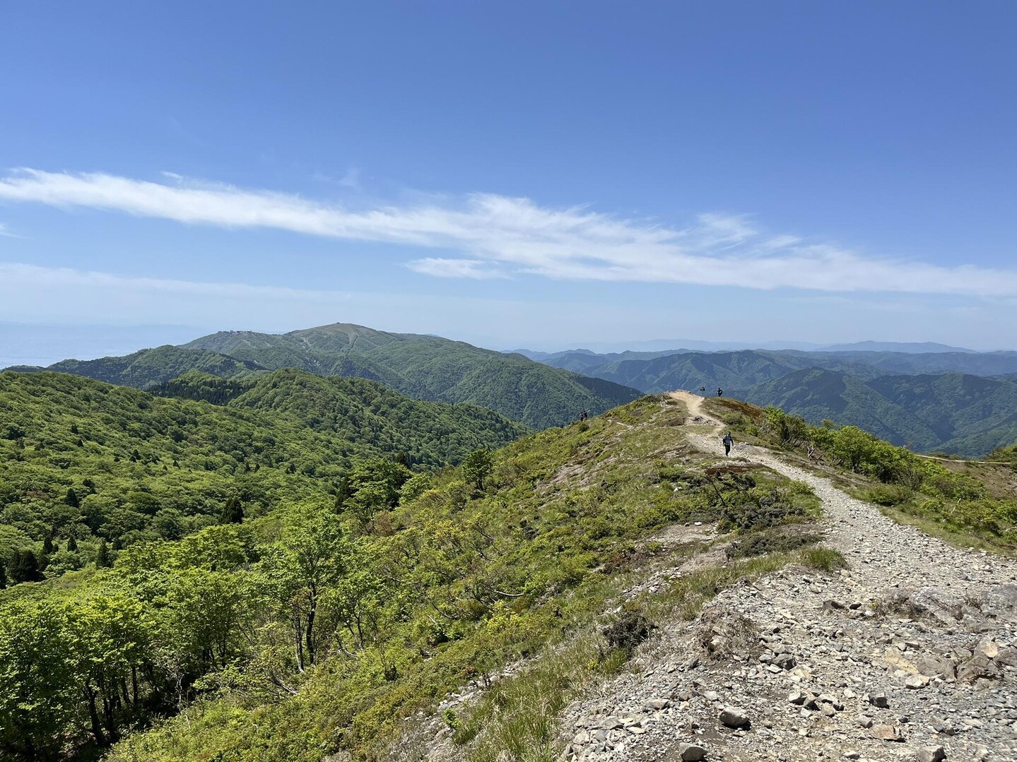 ブナ三昧と琵琶湖 コヤマノ岳・武奈ヶ岳・前山 / Sueさんさんの比良山地・武奈ヶ岳・釈迦岳の活動データ | YAMAP / ヤマップ