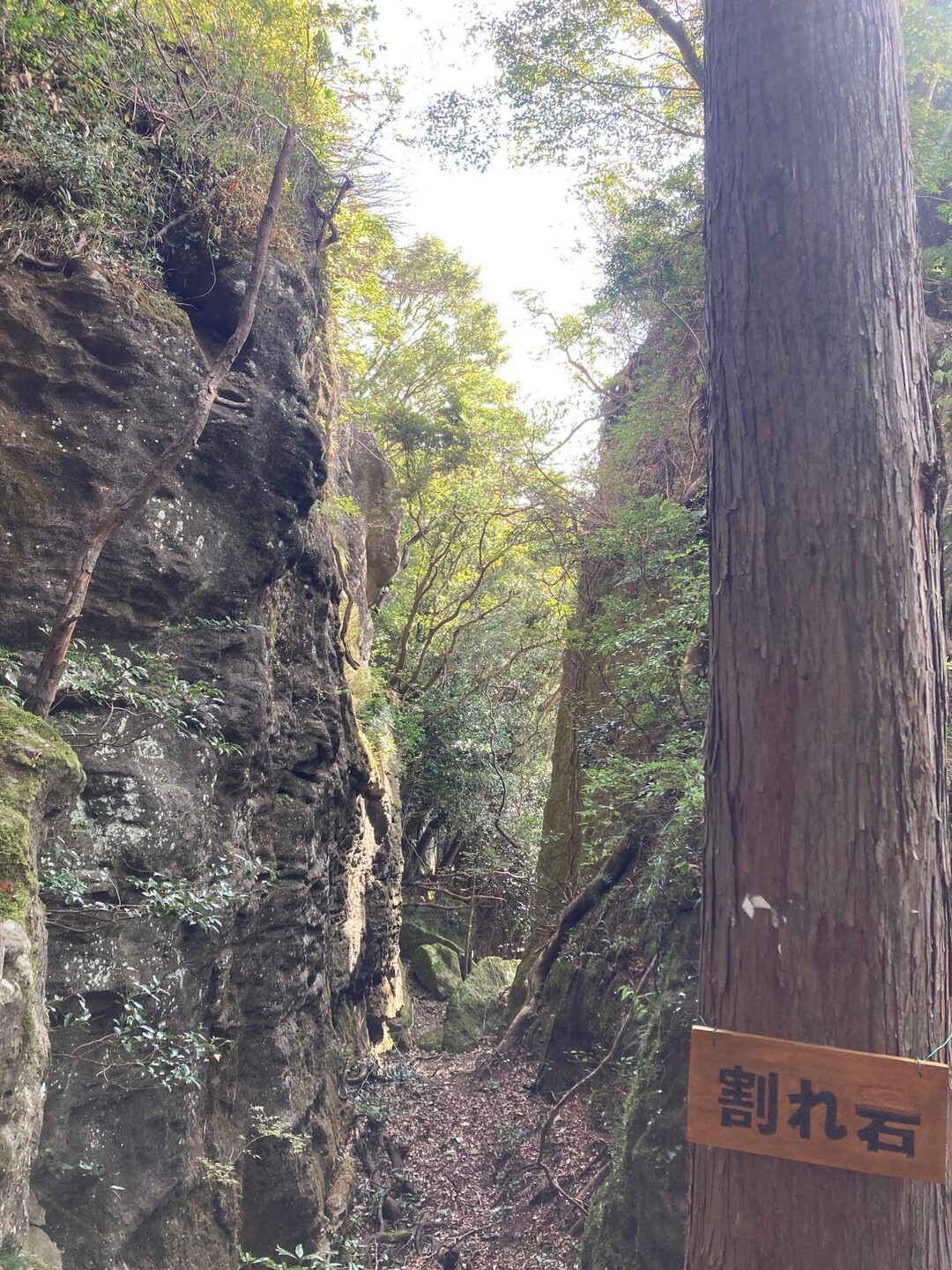 junさんの投稿したフィールドメモ | YAMAP / ヤマップ