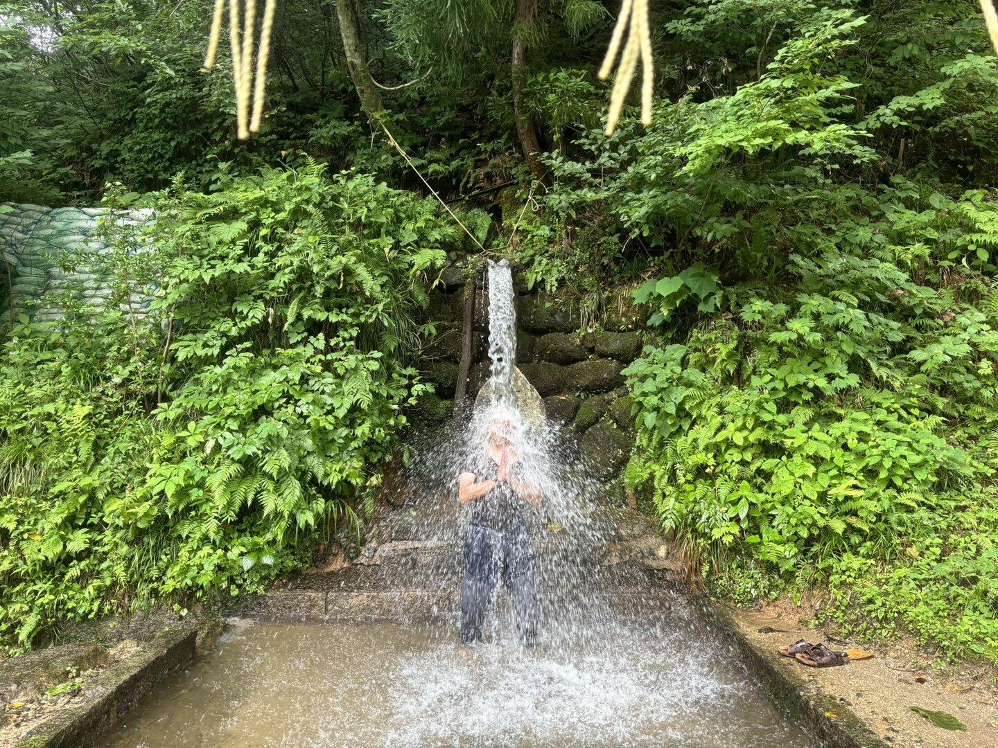 二王子岳 / ショウちゃんさんの二王子岳の活動データ | YAMAP / ヤマップ