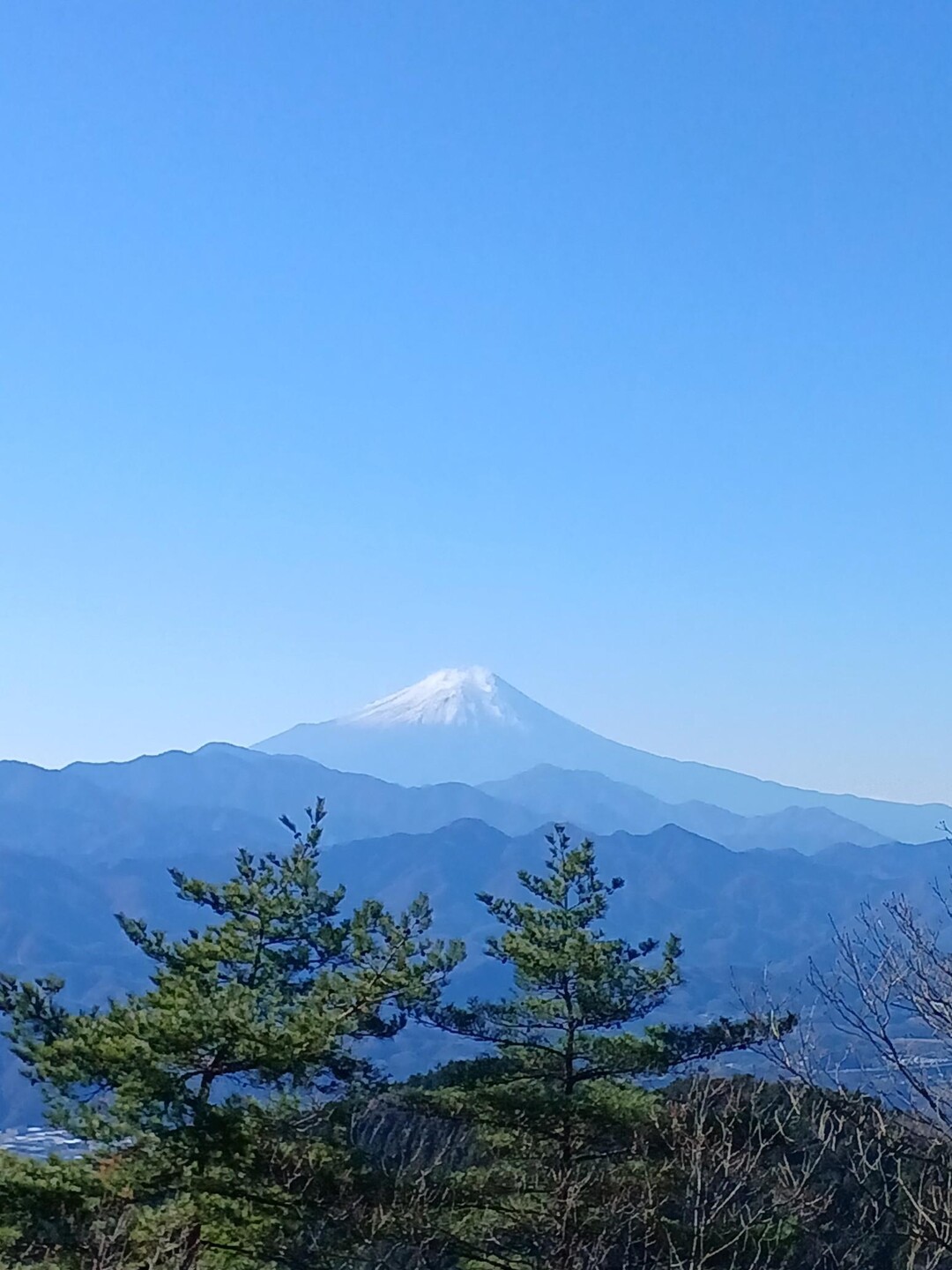 生藤山・茅丸🗻 / spesさんの生藤山の活動データ | YAMAP / ヤマップ