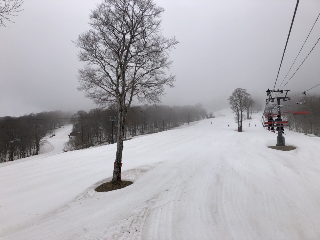 ski⛷-2021-04-03 たんばら... / スキーヤーKさんのモーメント | YAMAP / ヤマップ